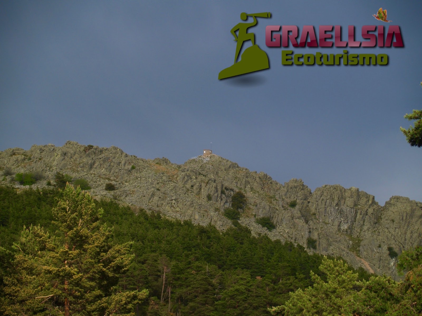 Cuaderno de Campo de Graellsia Ecoturismo: Monte Abantos (Tour Privado ...