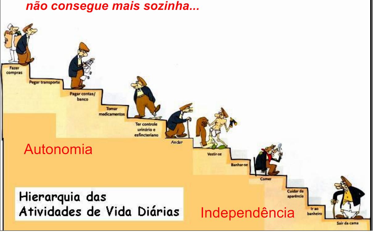 Conselho Municipal do Idoso de Campinas: Envelhecimento e Dependência