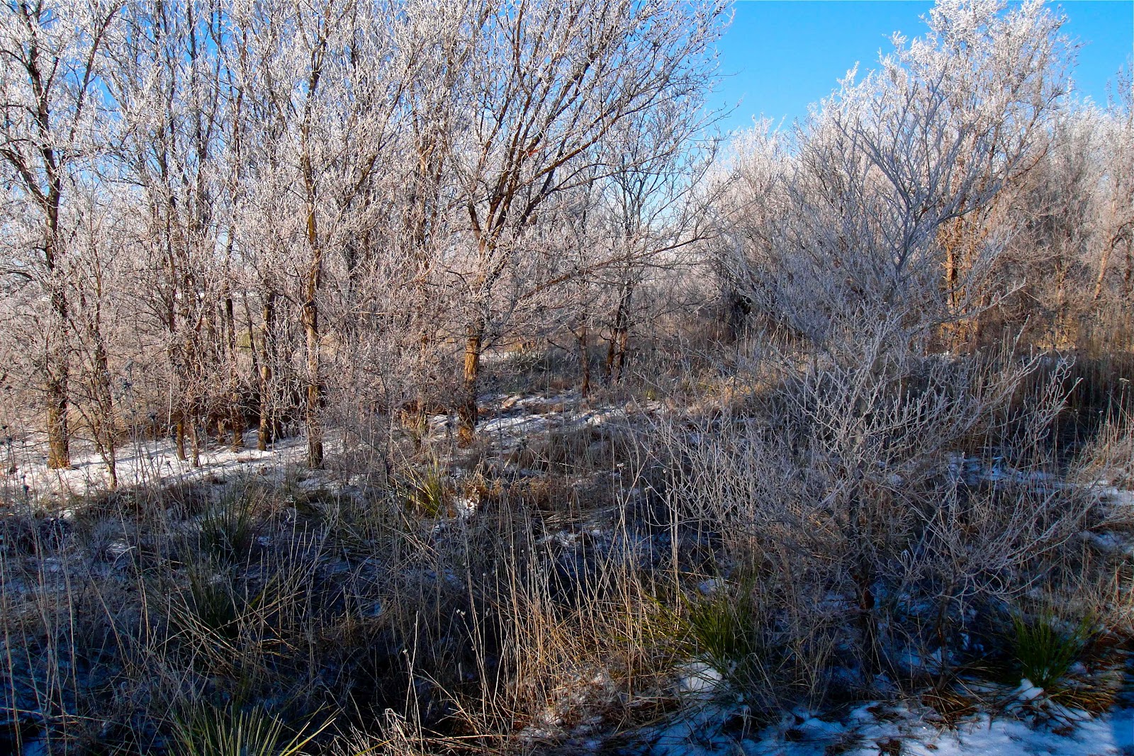 Poetry Of Spirit And Light: Air Hoar And Snow Melt Poetry