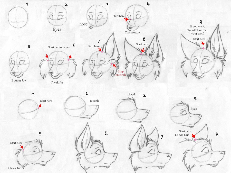 Como Desenhar Mangá: Quer aprender a desenhar Lobos?