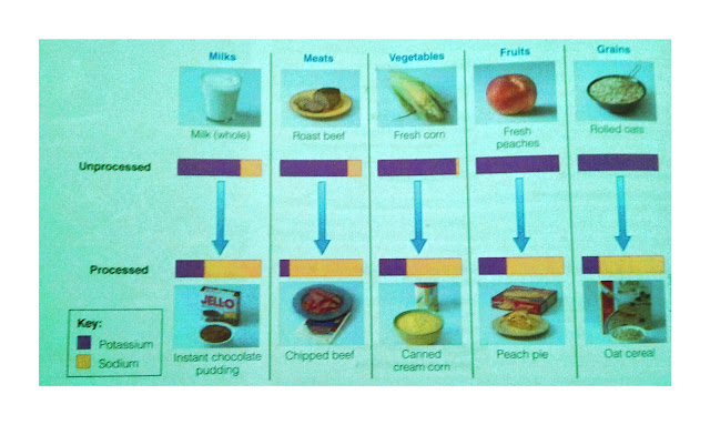 Mindful Menagerie: Food Labels and Healthier Choices (Part 1 of 2)