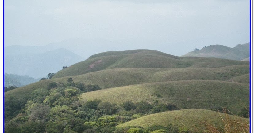 പ്രകൃതിയിലേക്ക് ഒരു യാത്ര (a travel towards NATURE): PULLUMEDU a unique ...