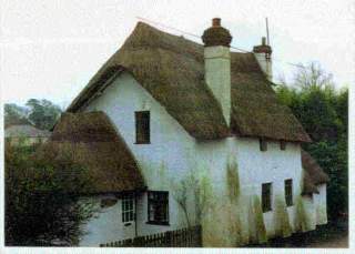 MacGowan's Custom WoodCraft: Cob House? Yup, it's made of MUD!