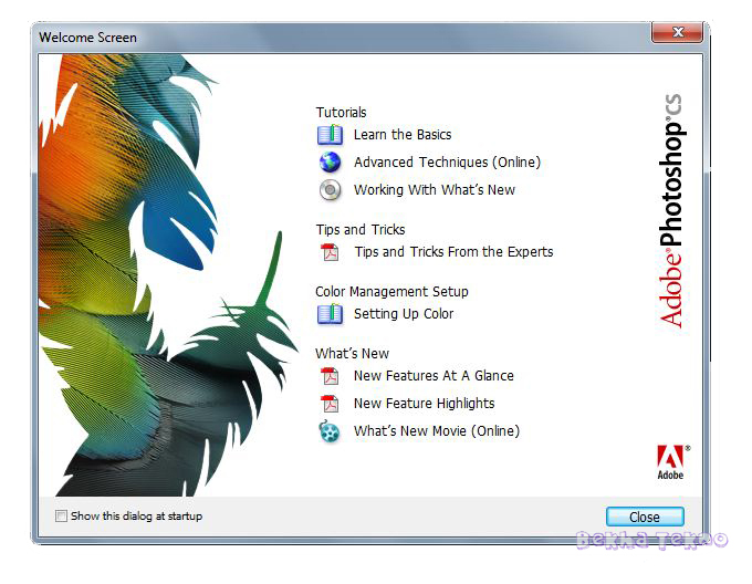 Adobe Photoshop 8.0 Free Download for Mac Updated