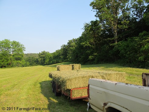 Farmgirl Fare: Monday Farm Photos: Back in the Hay - for a Whole Lot of ...