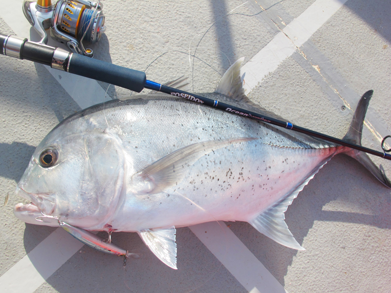 Tackle Source: GT POPPING!