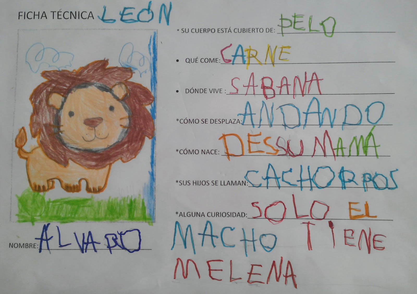 Infantil 4 Años A: 69.- PROYECTO LOS ANIMALES SALVAJES. EL LEÓN.