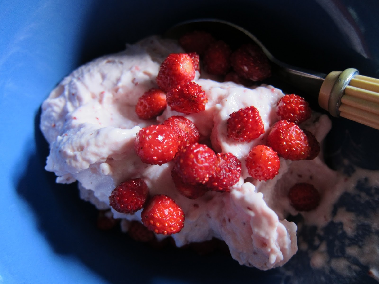 mariapiafiastinalisa: Smultron