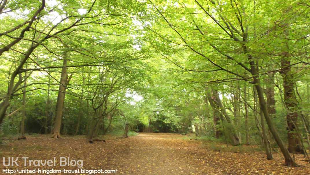 Whitewebbs Wood, Park and Golf Course - The Globe Trotter