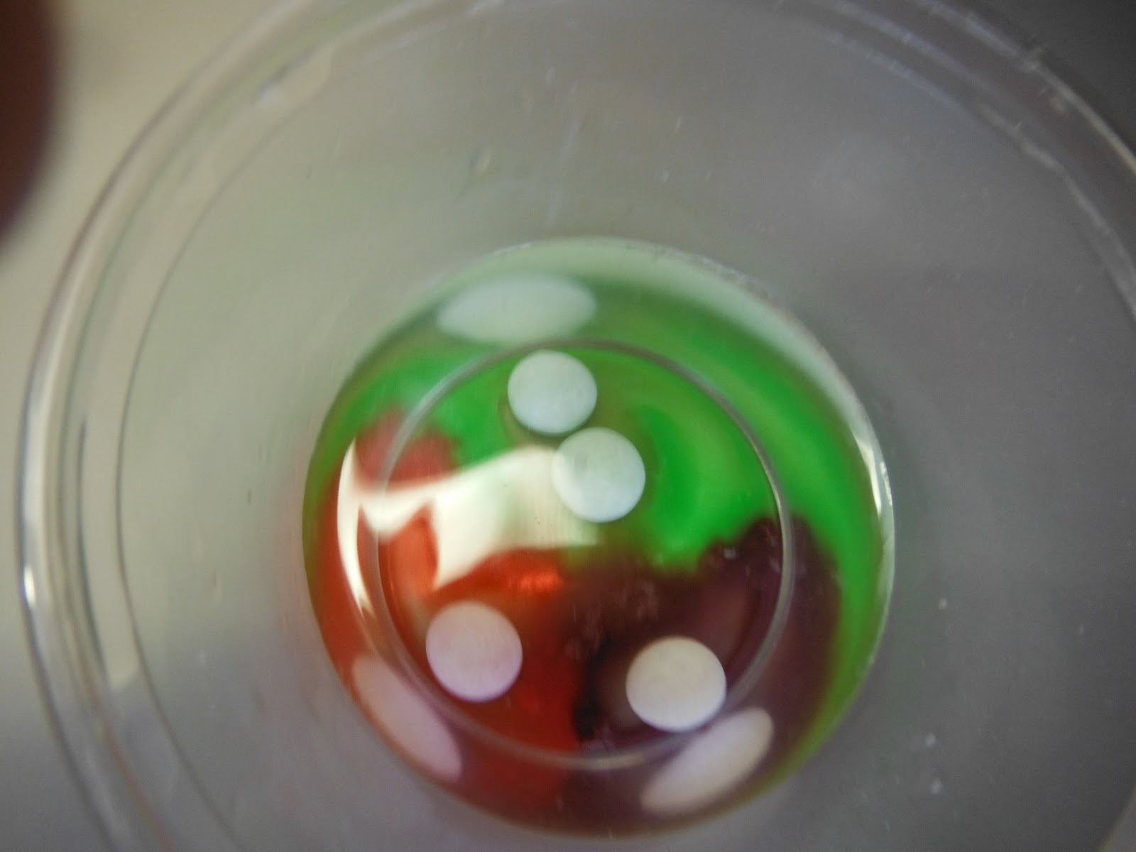 Skittles and M&M experiment (with Freebie) - SSSTeaching