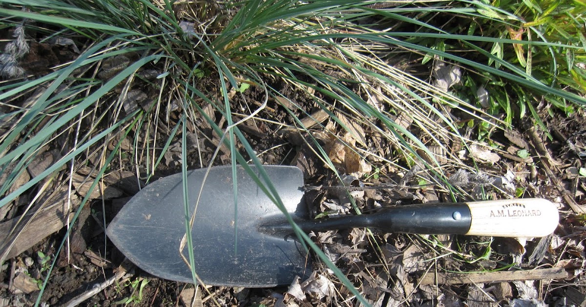 Arrowhead Alpines Blog: Hand weeding/digging tools -- a product review