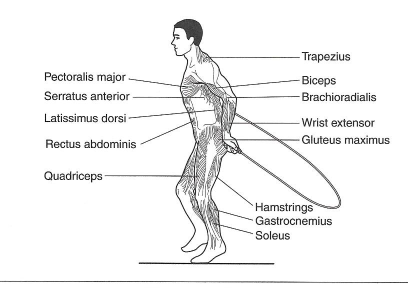 CUALIDADES DEL SALTO DE COMBA