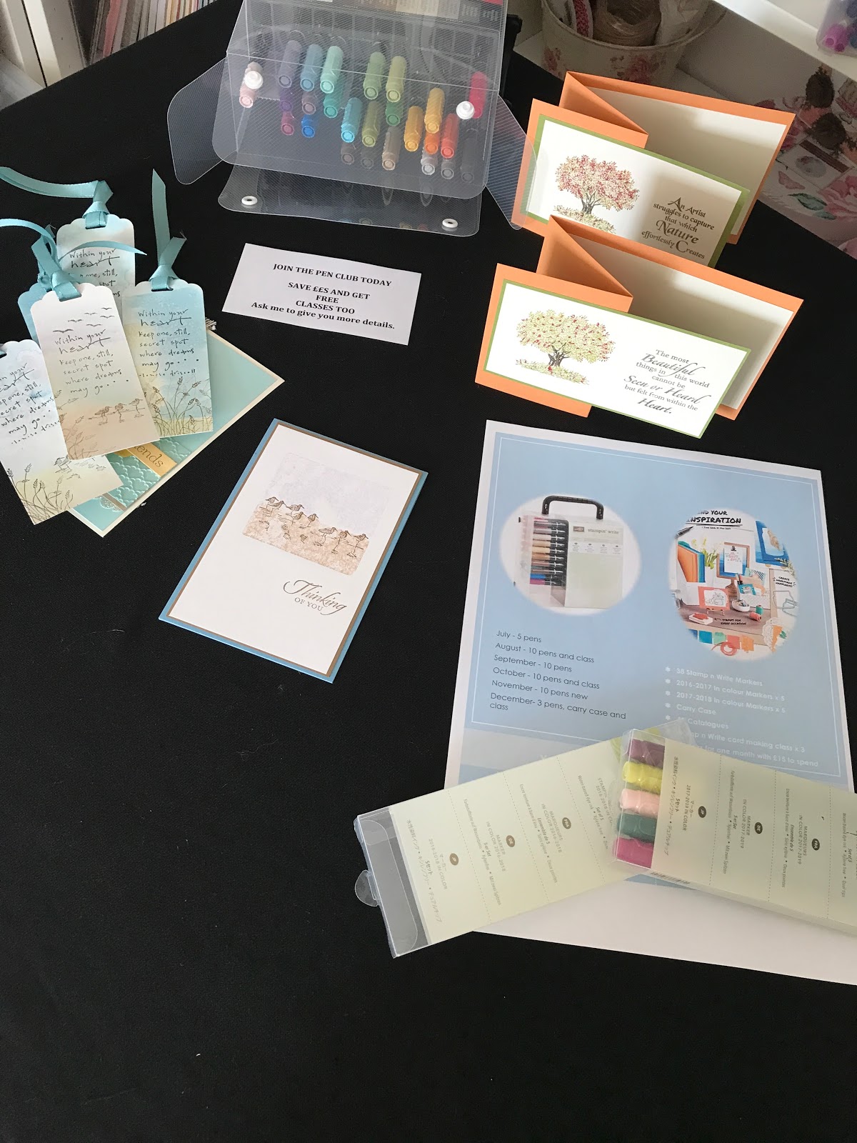 My own little corner of the web: 6 month Pen Club