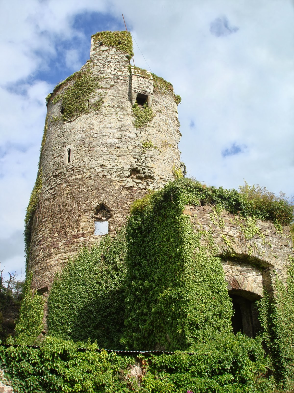 Medieval News: Mocollop Castle, Co. Waterford: A history of a medieval ...