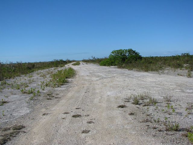 Long Island Bahamas 2012: Nov 25 Exploring Diamond Crystal Salt Mines