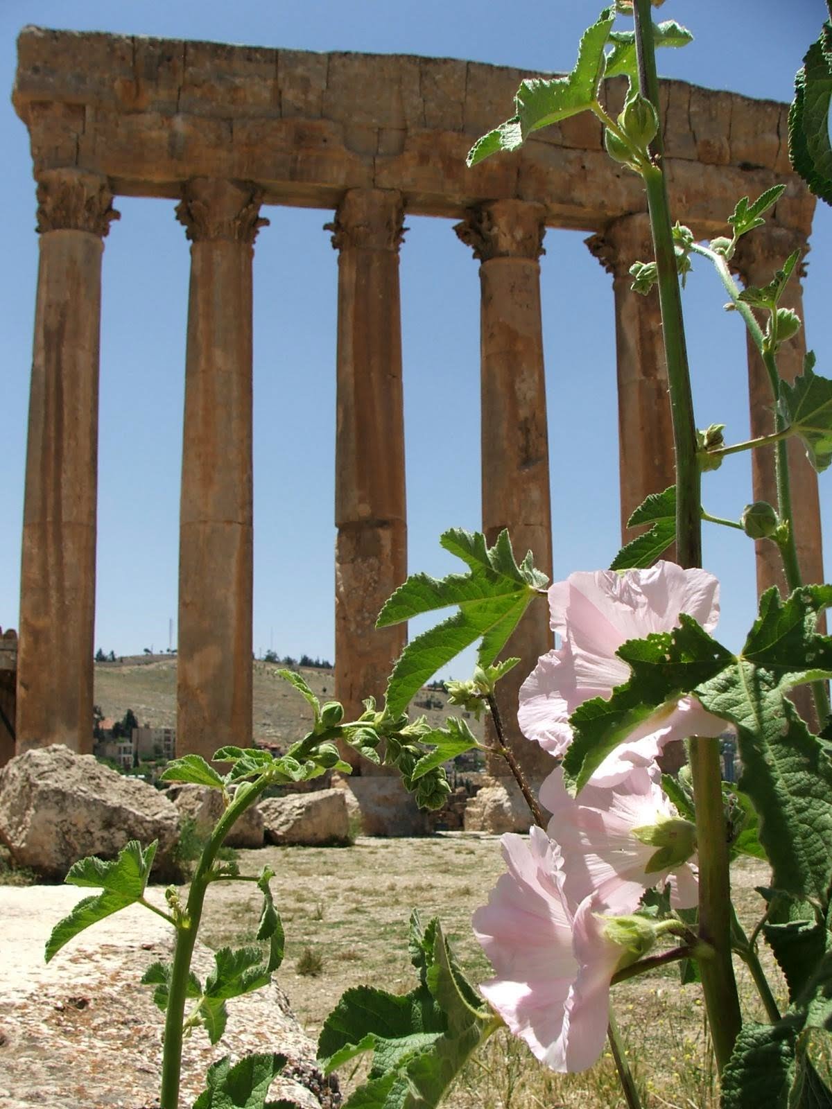 Leb11: Baalbek