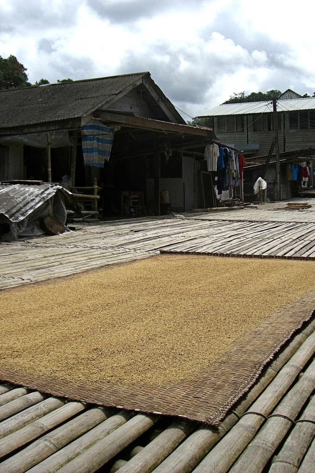 Enchanting SE Asia: Kuching: An Intriguing Sample of Malaysian Borneo