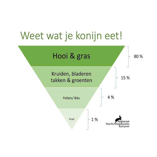 Het Vrolijke Konijnenhol: Voedingspiramide van het konijn