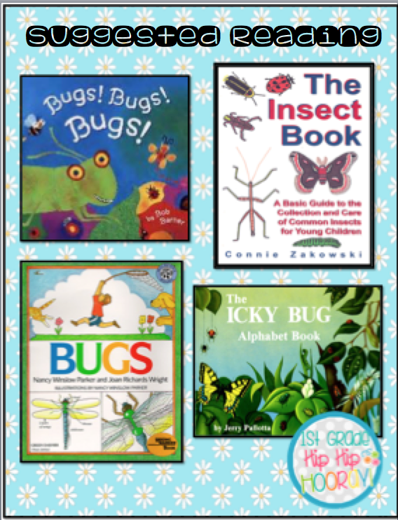 1st Grade Hip Hip Hooray!: Insects...Interesting!!