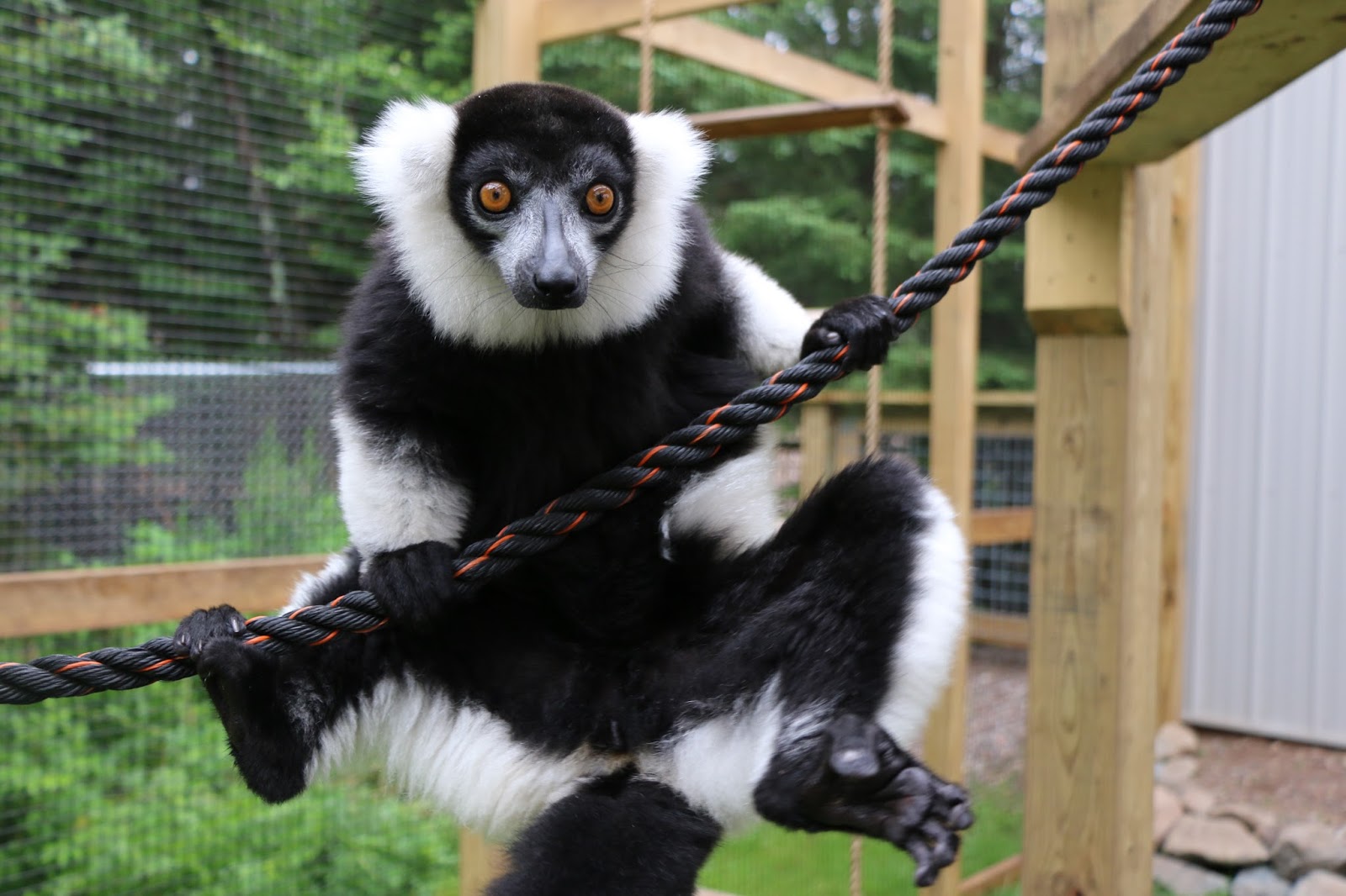 Wildwood Wildlife Park: Zookeeper Appreciation Week: Hanging with the ...