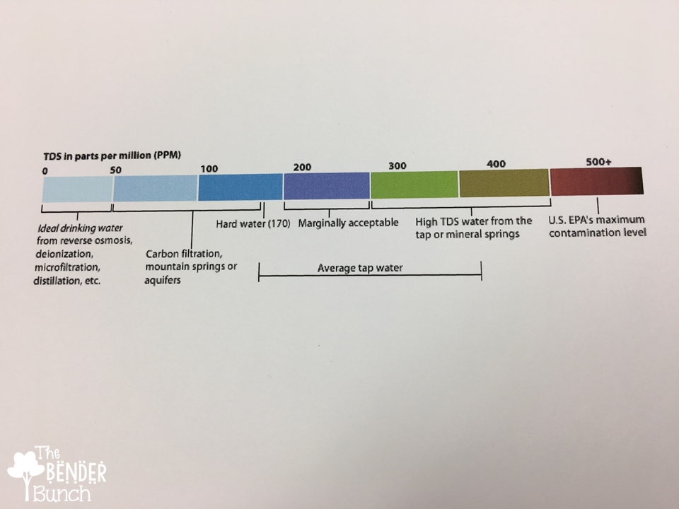 The Bender Bunch: June 2017