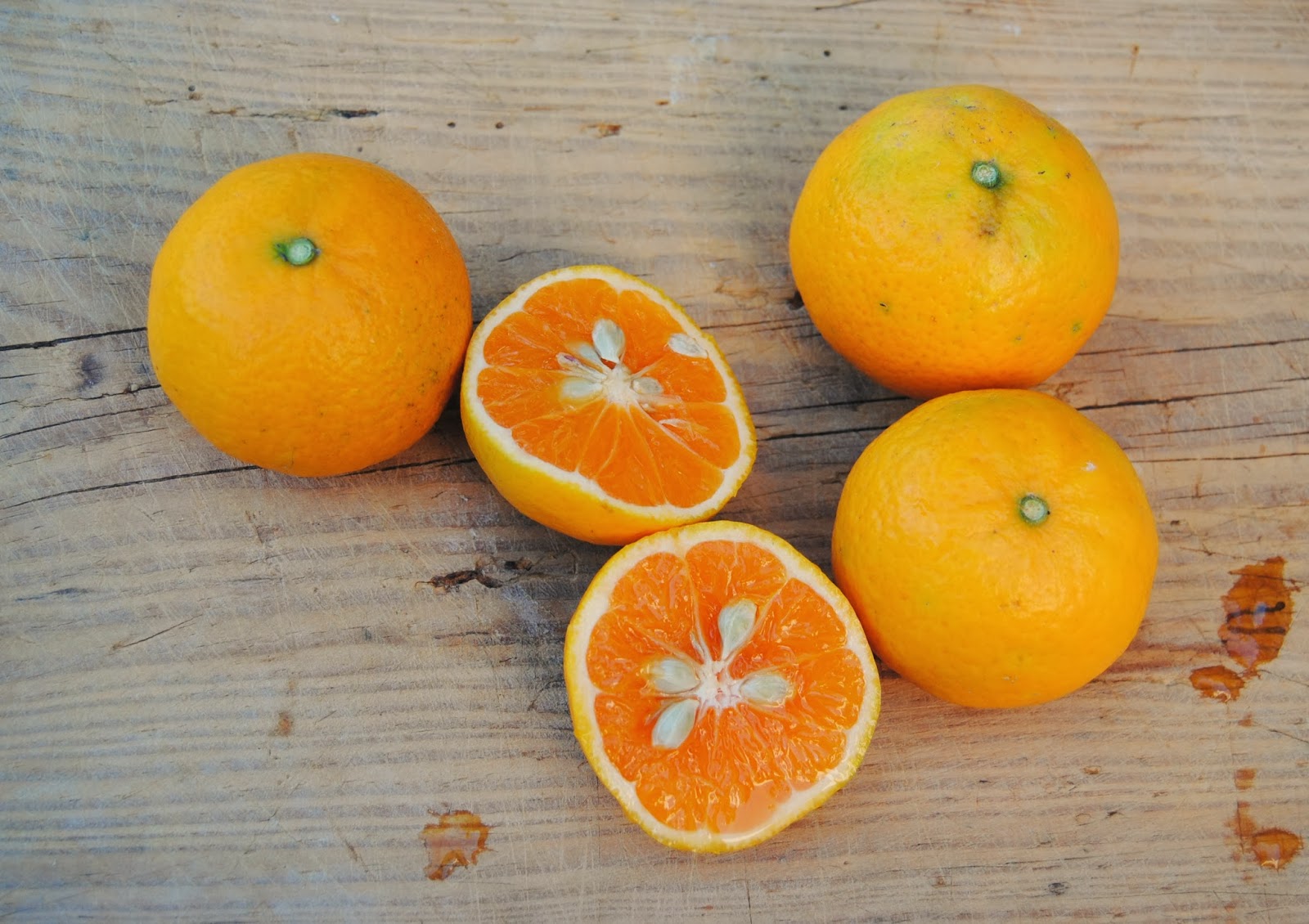 No Mundo de Luisa: Bolo de chocolate e tangera