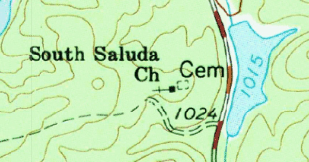 At The Tall Pines And What We Found There