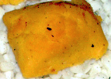 CASA WÀÁNA KAVUNGO: ACAÇÁ