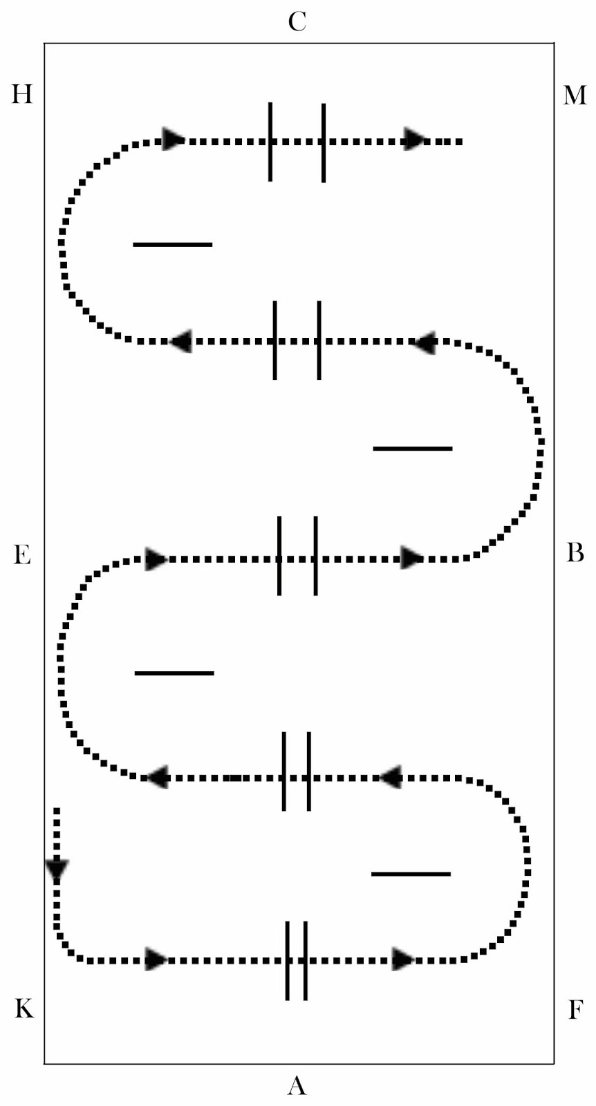 Horse exercises, Horse lessons, Horse riding tips