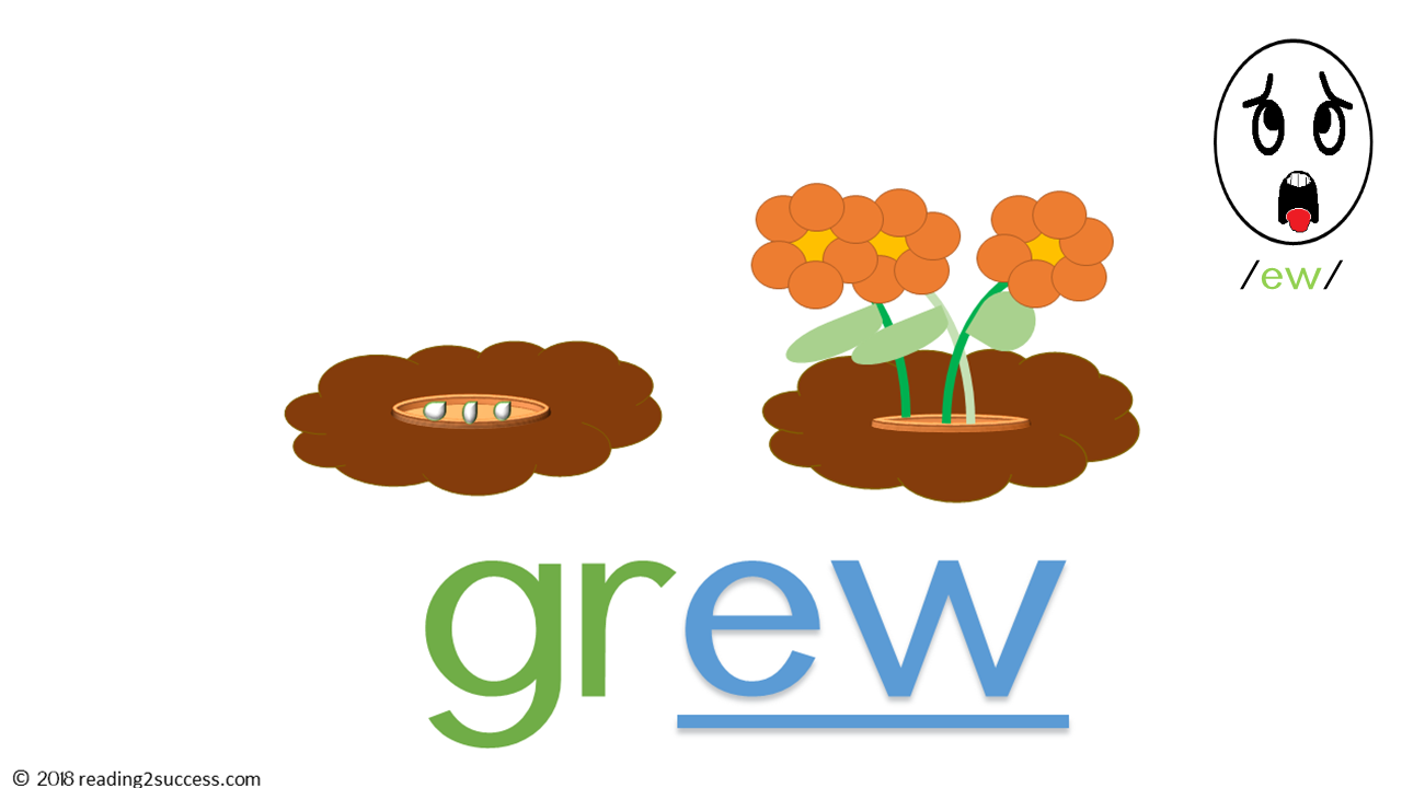 Reading2success: Sound Patterns: /ew/, /ick/, and /ow/ activity and videos