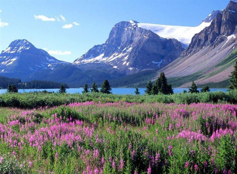 Different types of natural places | Background Wallpapers