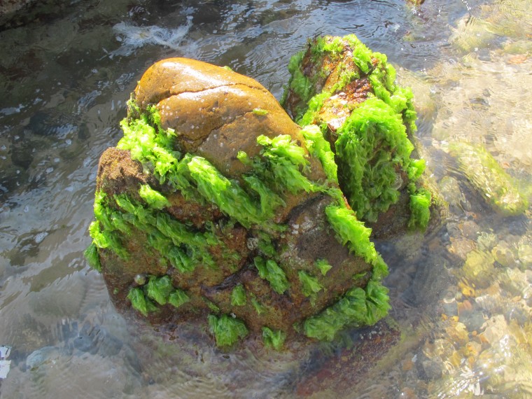 Xin chao!: Vietnam beautiful beaches, islands and bays