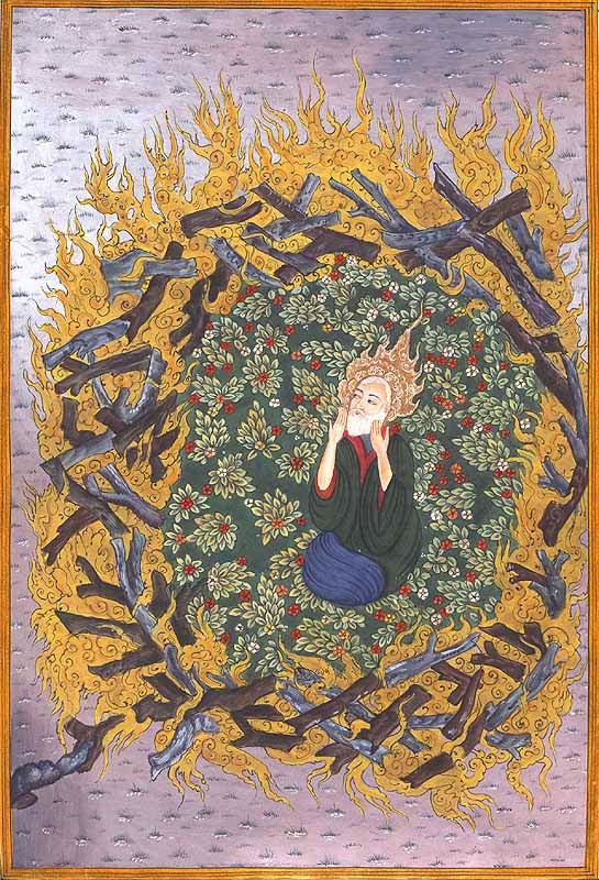 The Scarlet Pensieve: Forebearers of Prophecy