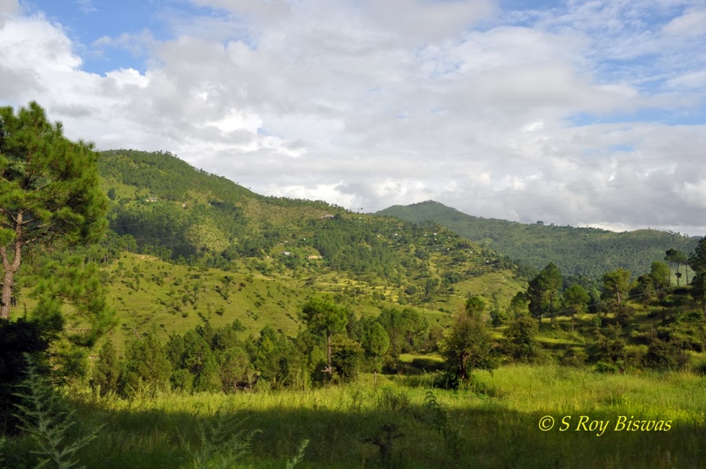 S Roy Biswas: Revisiting - Almora & Ranikhet (a photo-blog)