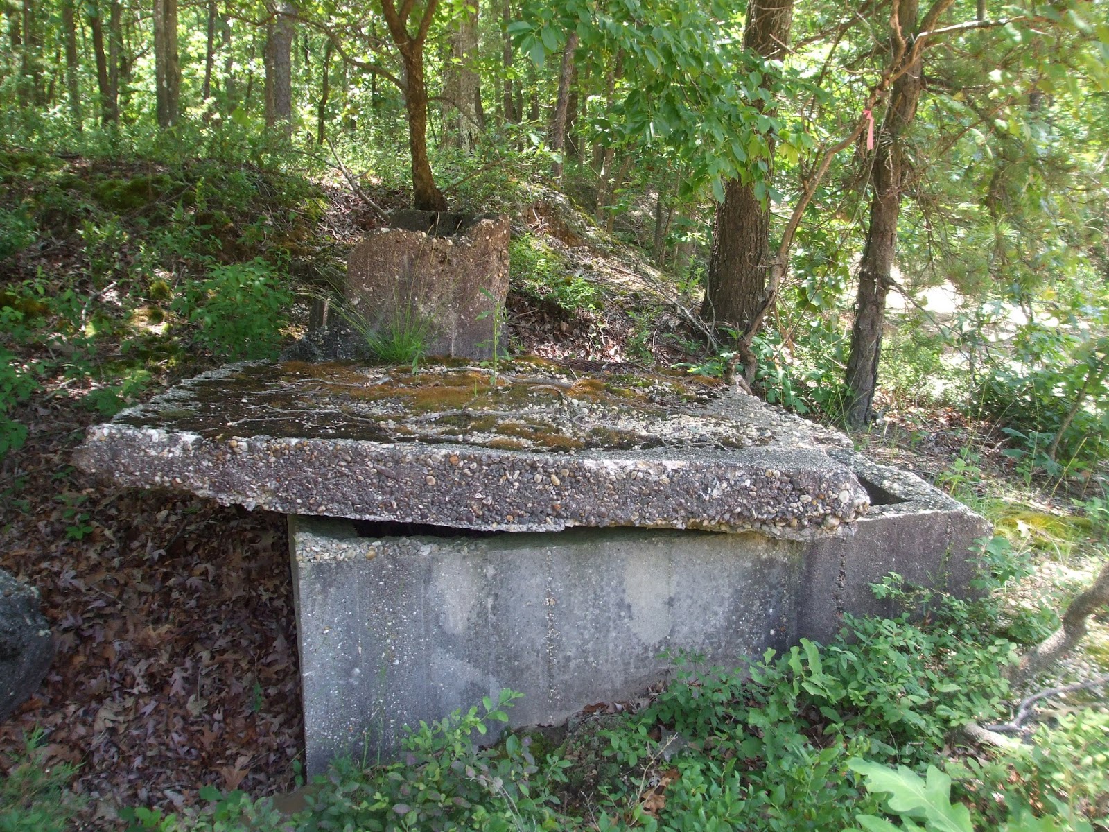 The Adventures of Miss Myo: Amatol, NJ