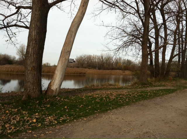 Buffal-Oh The Places You'll Go: The Trek Tifft at Tifft Nature Preserve