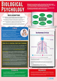 Como Fazer um Banner para Congresso Científico: Pôster para Psicologia ...