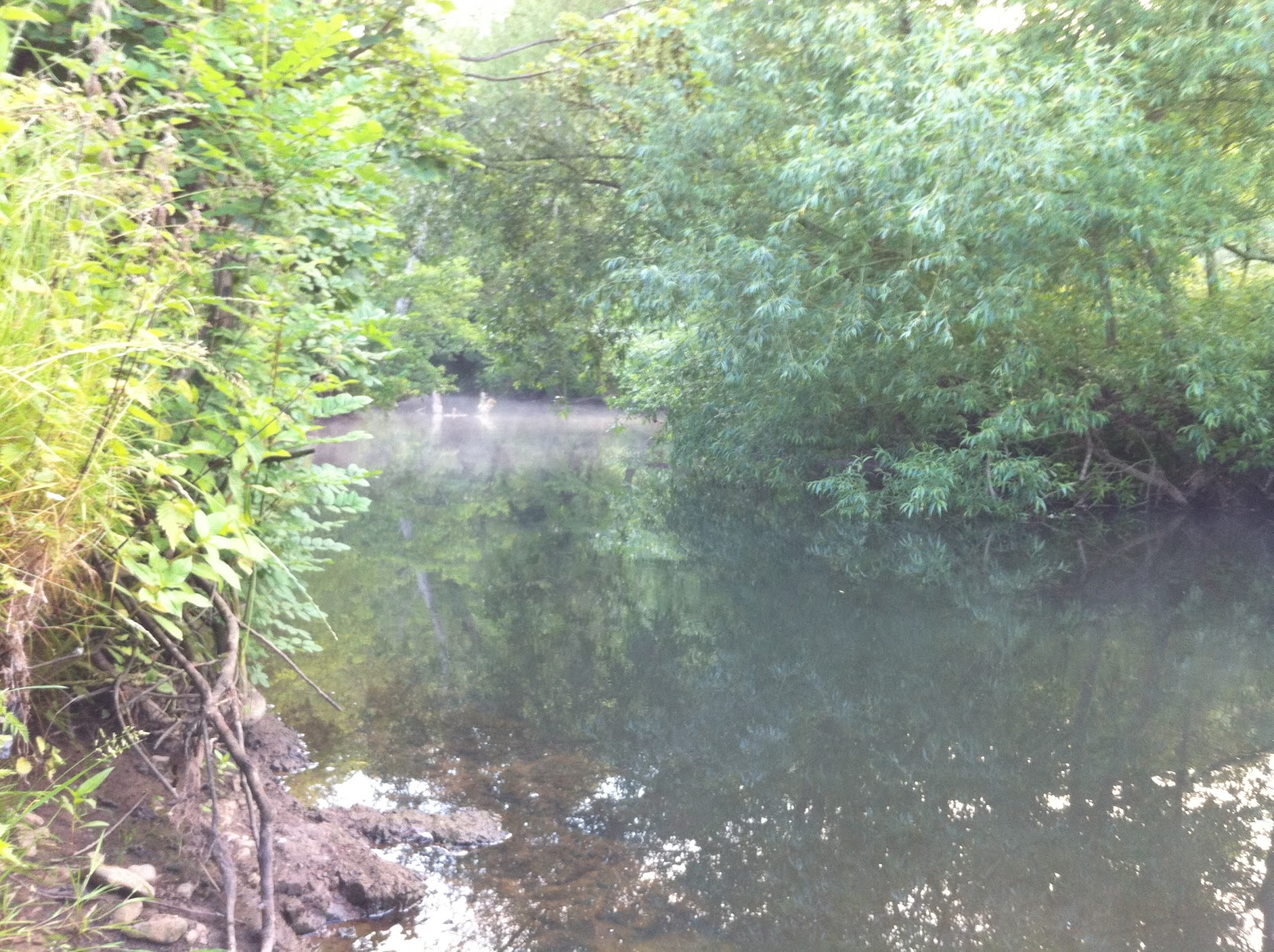 Danny's Angling Blog: Red hot fishing and testosterone filled bulls on ...