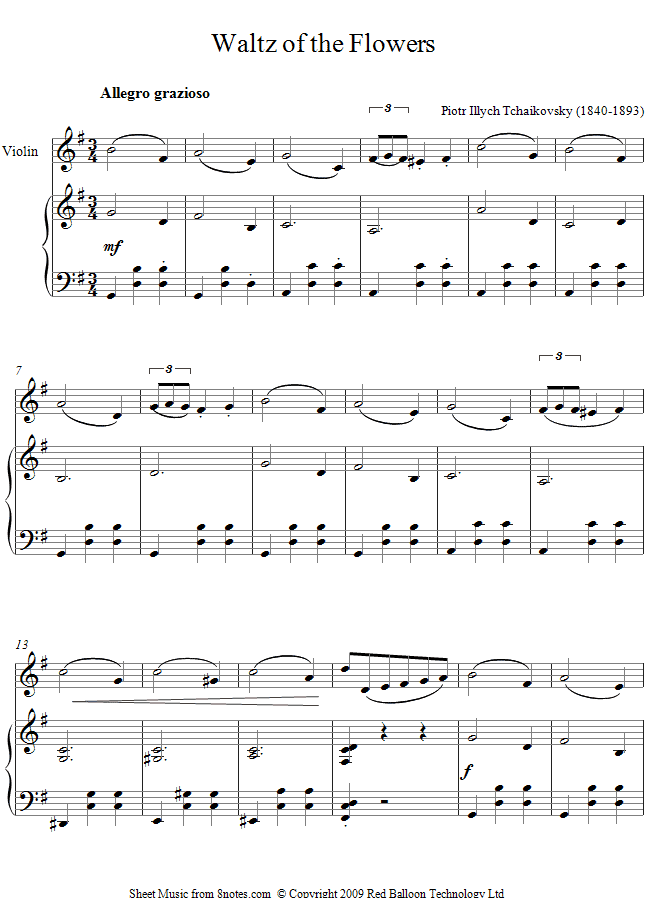 O Blog dos Violinistas: Tchaikovsky-Waltz Of The Flowers