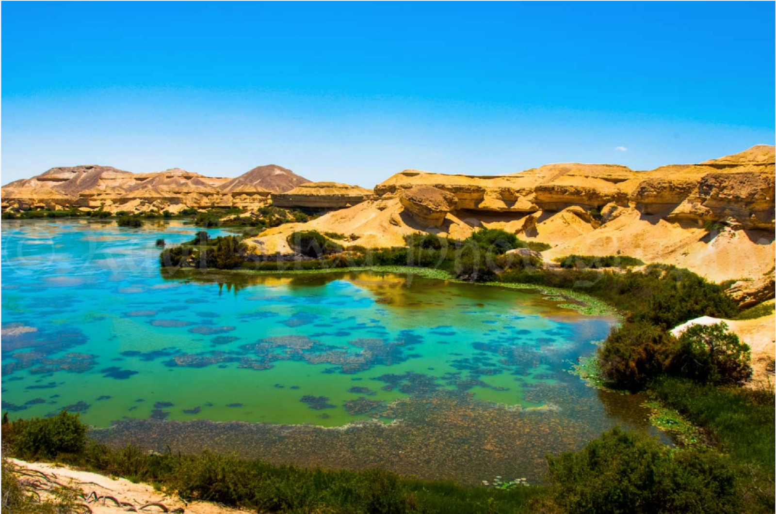 tropicalia: " Angra das Aldeias, Porto Alexandre, Tômbwa, Angola"