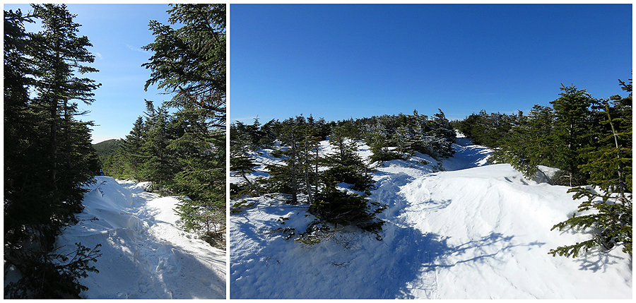 Hiking in the White Mountains: A Marvelous Morning on Mount Moosilauke