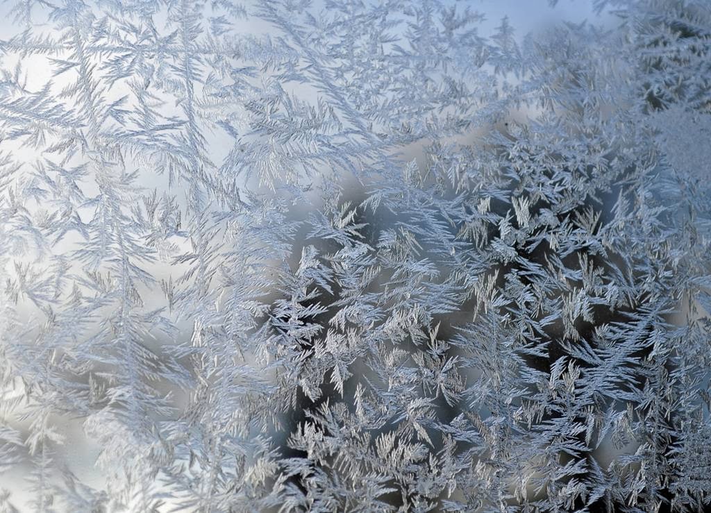 Frost on Glass: Ice Flower Art ~ Kuriositas