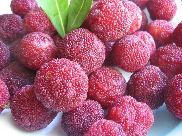 Ten Terrific Tropical Fruits