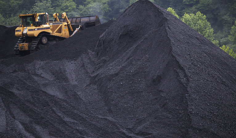 MS. VITALE & MR. PROCOPIO BIOLOGY BLOG: PLANTING TREES AT COAL MINES