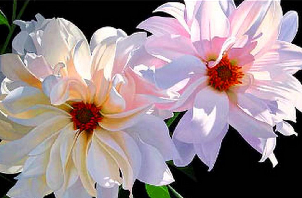 Arte y Actividad Cultural: Las Flores Modernas al Óleo de Brian Davis