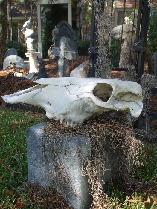 PUMPKINROT.COM: The Blog: Daylight Cemetery