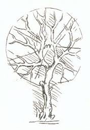 Garden History Matters: Quincunx