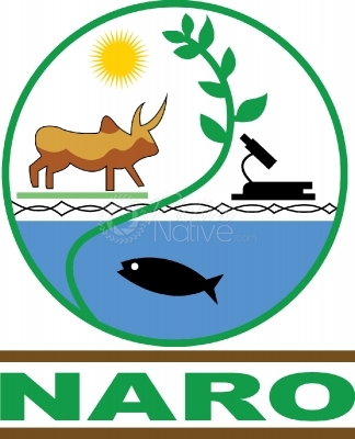 UGANDA JOBS: Various jobs at the National Agricultural Research ...