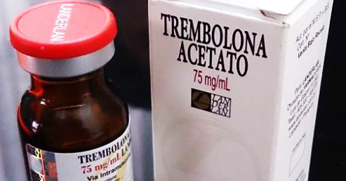 Trembolona: O que é, efeitos colaterais...