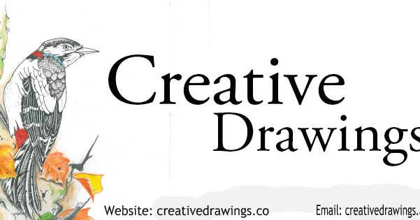 Dwayne Hamilton Artist Blog: A Drawing Titled Rose